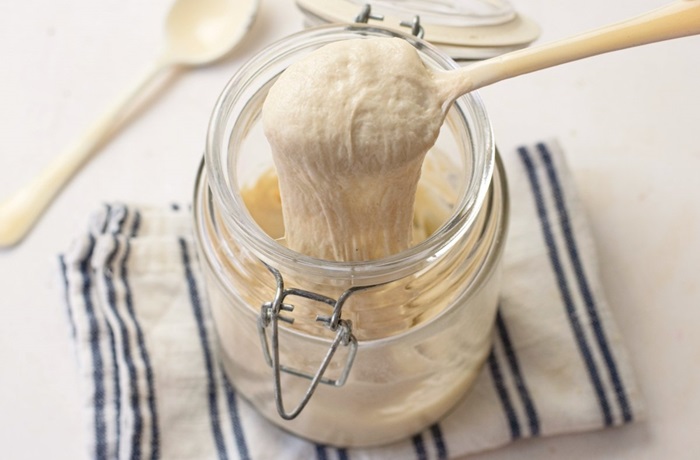 Receta de masa madre tipo esponja: Prefermento de sabor profundo ...